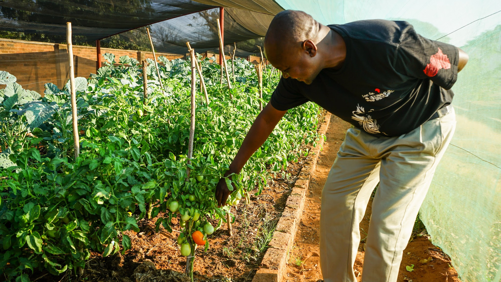 Victoria Falls Hospital's Nutrition Garden: Giving Thanks for the ...