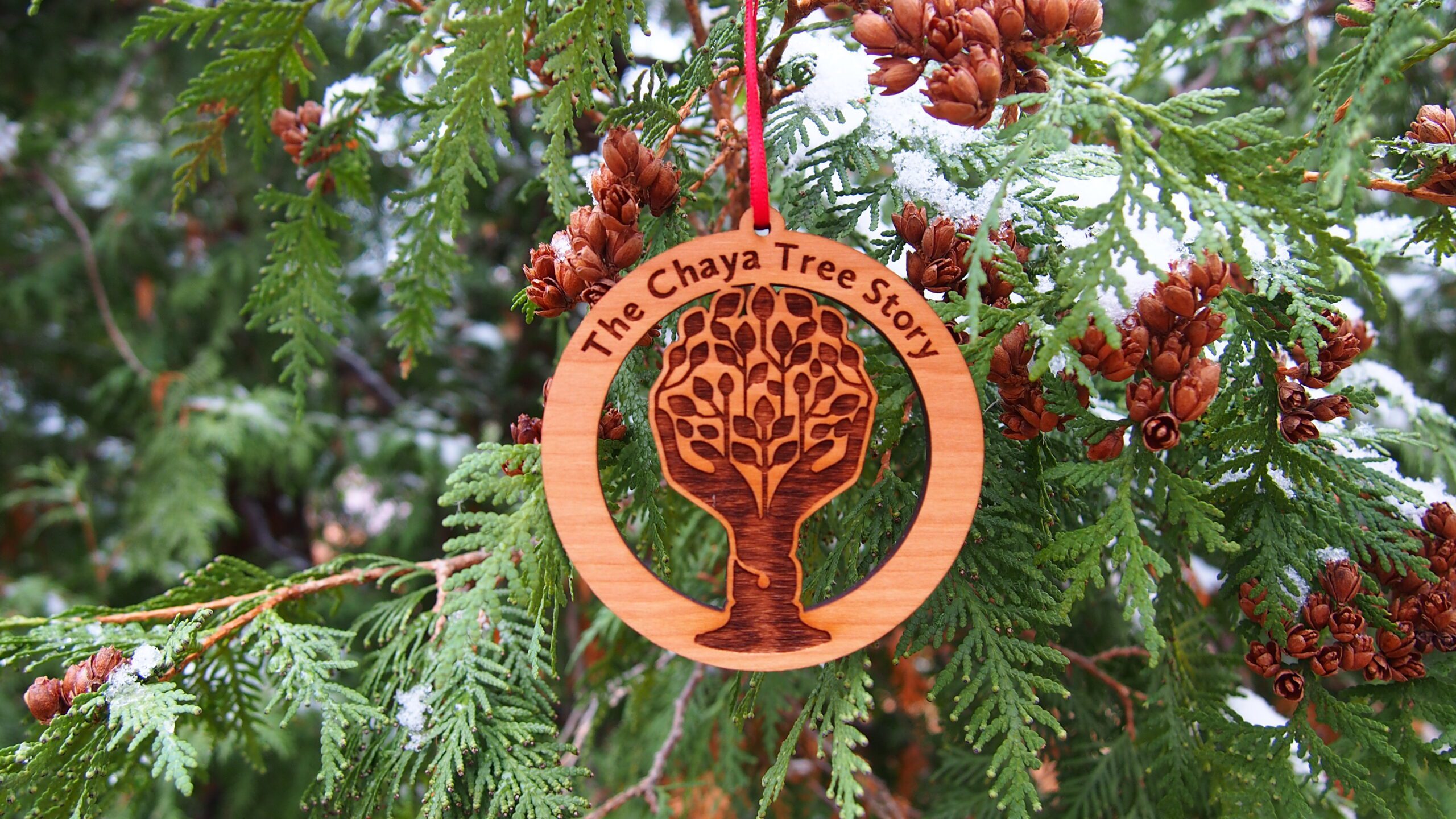 Chaya Ornament | MATTER