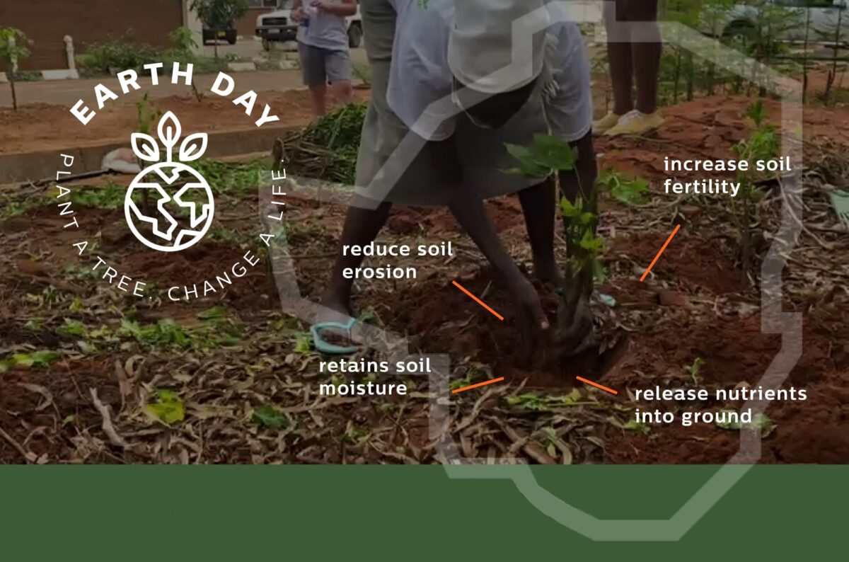 Earth Day Activity: Take Action To Improve Our Planet | MATTER