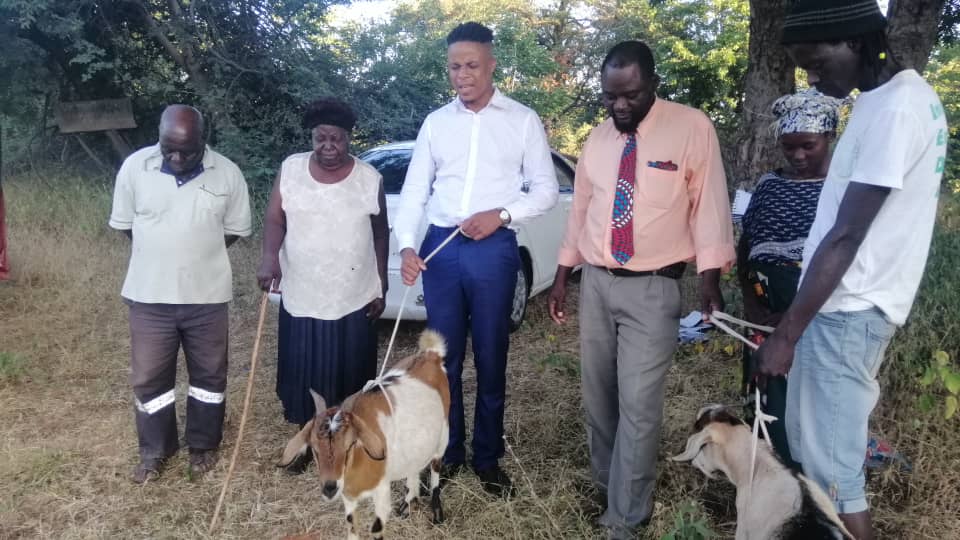 Praying over goats | MATTER