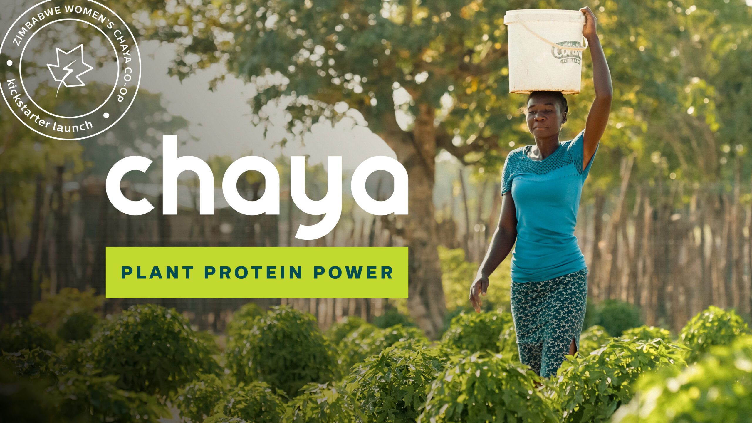 Chaya Kickstarter Campaign Launches! | MATTER